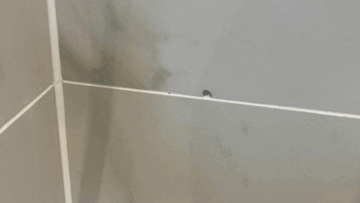 Tile Repairs – Restore Cracked And Chipped Tiles